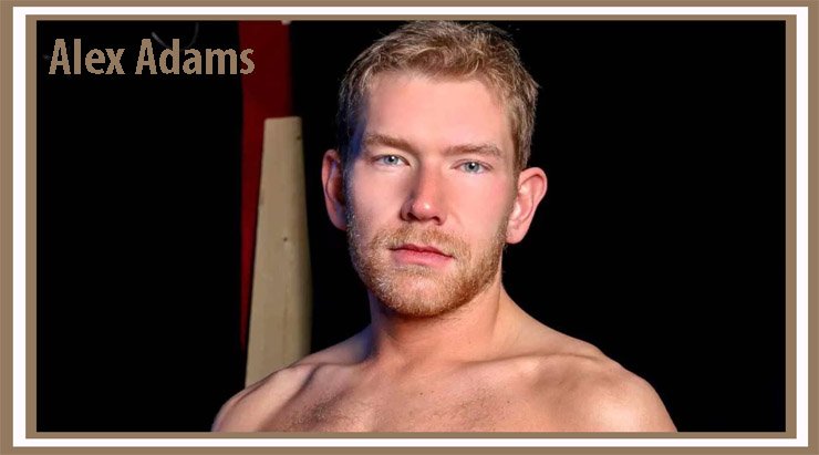 Alex Adams Net Worth Bio Age Career And Husband Techydeed Alex Adams Net Worth Bio Age Career And Husband Techydeed